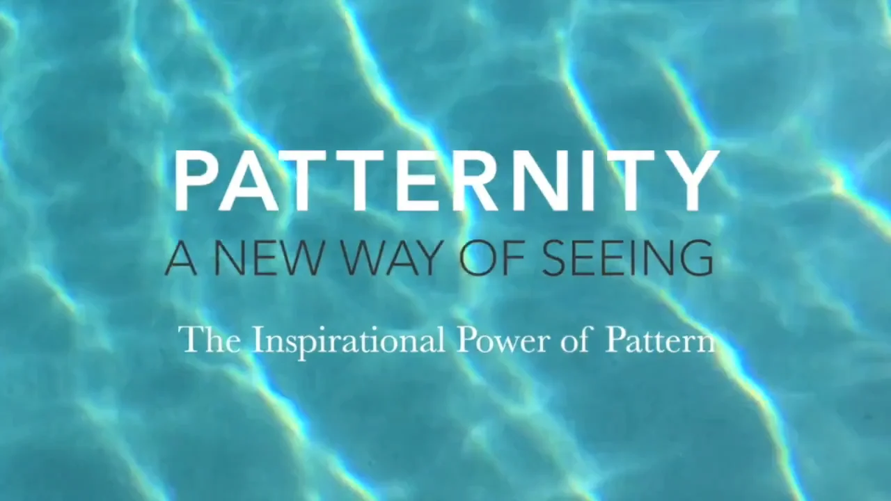 PATTERNITY: A New Way of Seeing