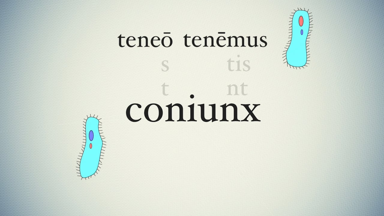 LatinTutorial
