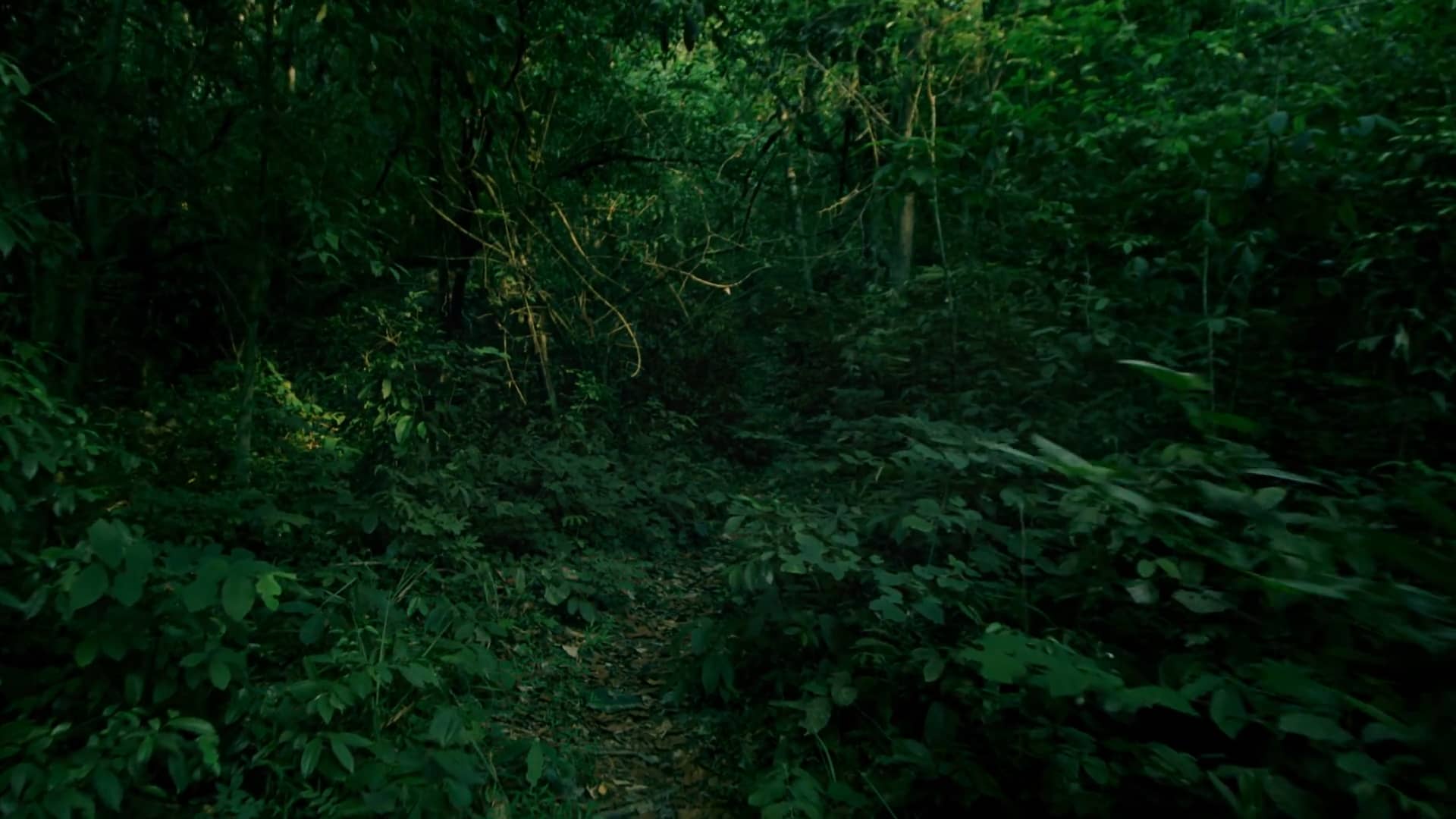 MSMSJ - Theatrical Trailer on Vimeo