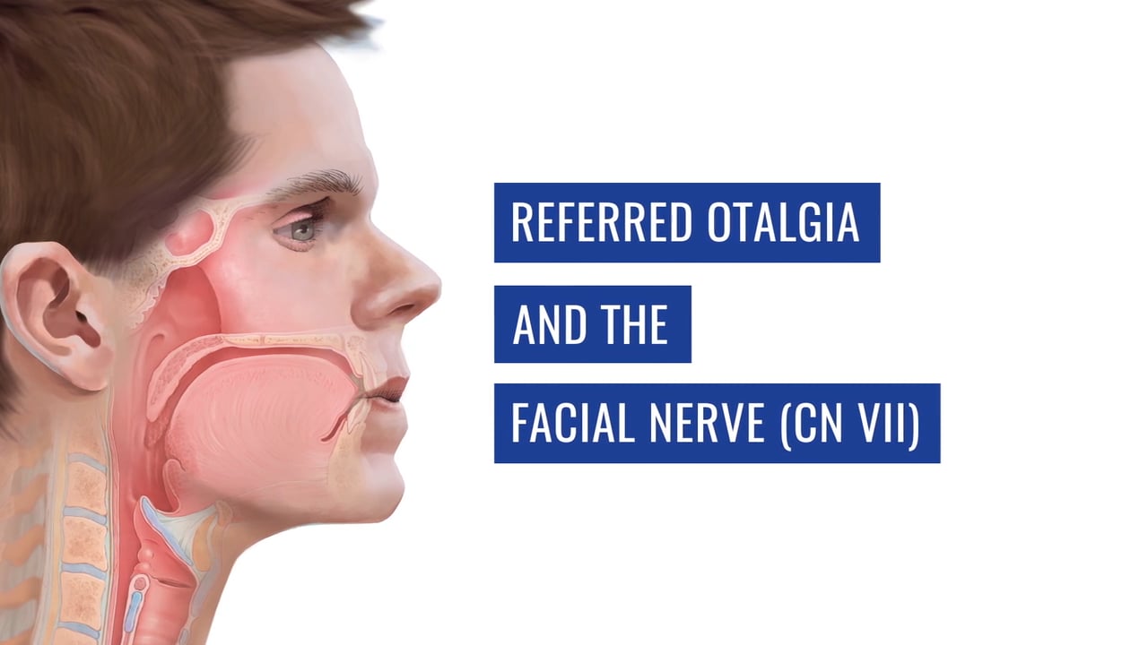 Referred Otalgia and the Facial Nerve (CNVII) on Vimeo