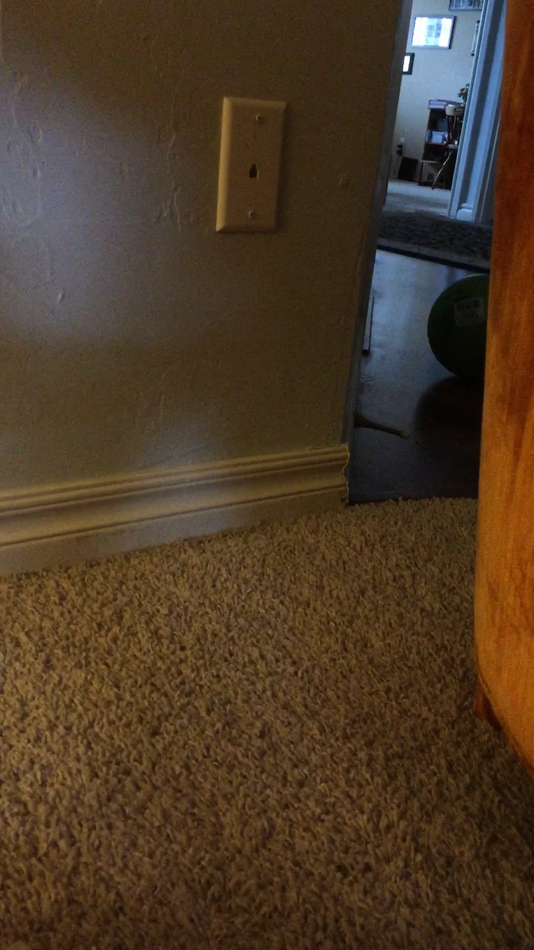 James learned a new trick from his lady friends this morning on Vimeo