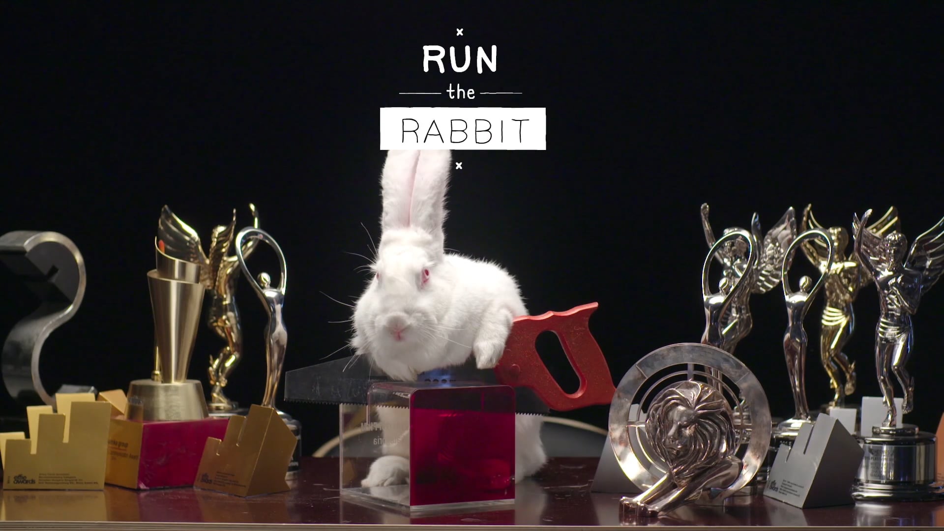 White Rabbit - "Run The Rabbit" - Promo on Vimeo