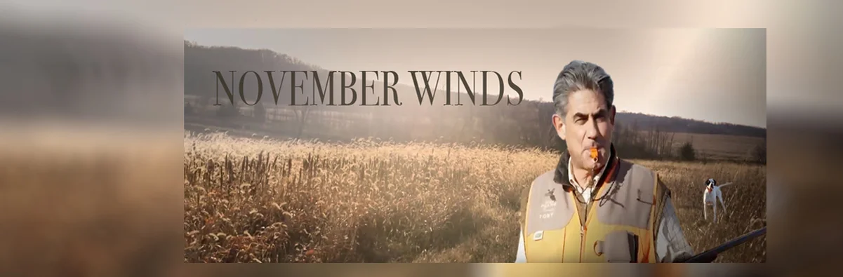 November Winds