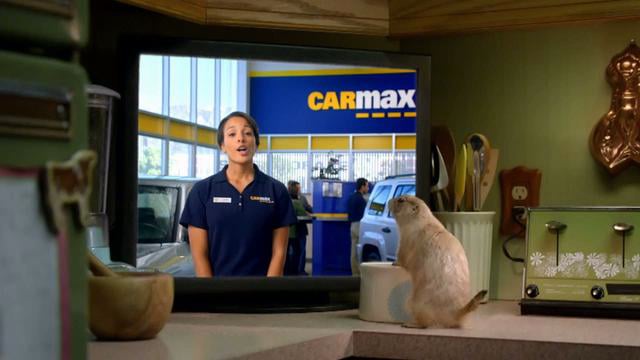 Carmax Prairie Dog Cockatiel on Vimeo