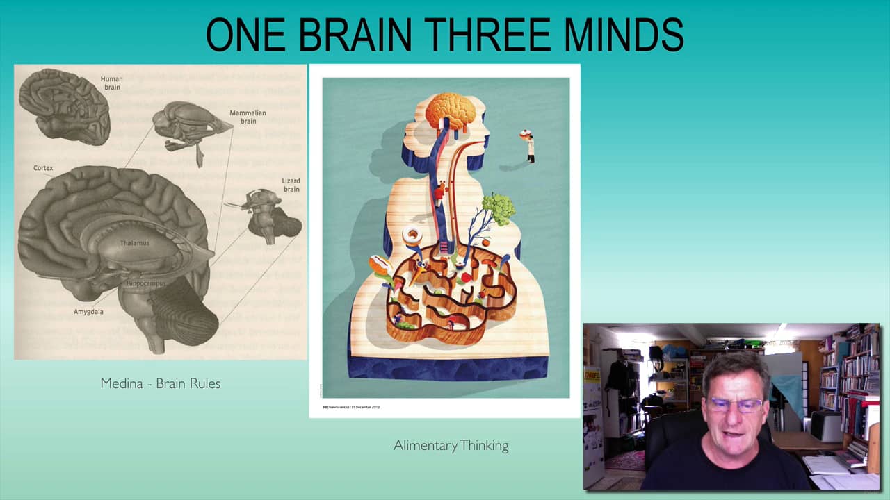 One Brain Three Minds Supplementary on Vimeo