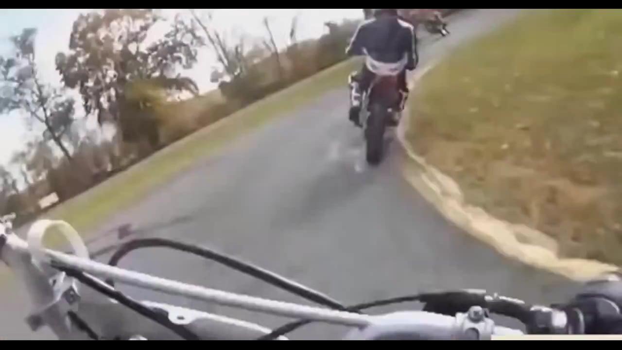 Best Funny videos 2016 on Vimeo