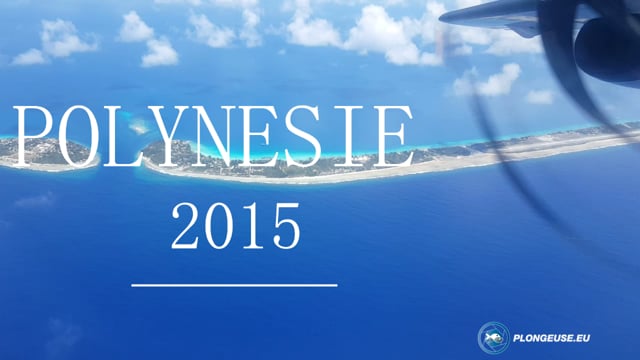 Connecter une fibre optique sur son caisson Nauticam - Plongeuse.eu