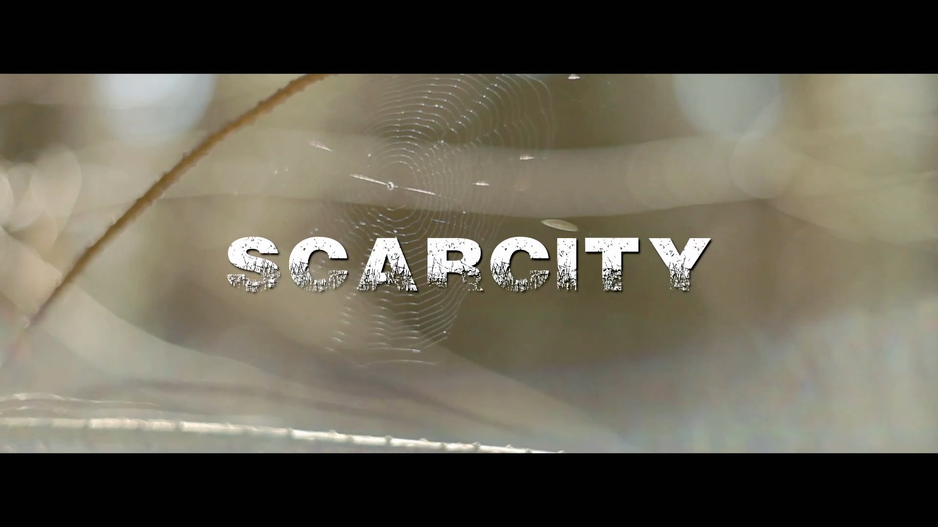 Scarcity (Short Film) on Vimeo