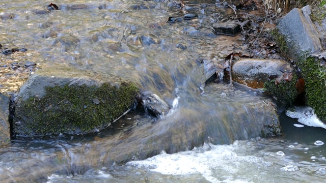 Stream, Water, Brook. Free Stock Video - Pixabay
