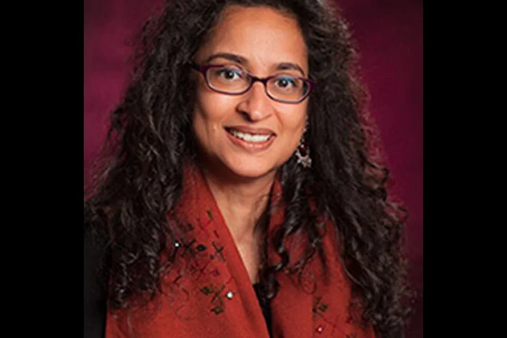 Deepa Kumar: "In Search of Monsters to Destroy: Islamophobia, the War ...