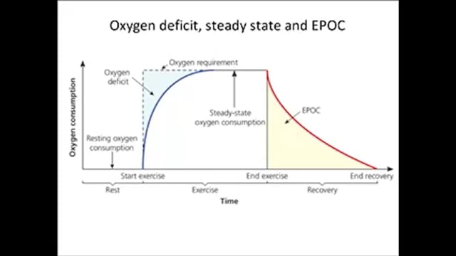 O2 Deficit, SS & EPOC in Unit 3&4 VCE Physical Education on Vimeo