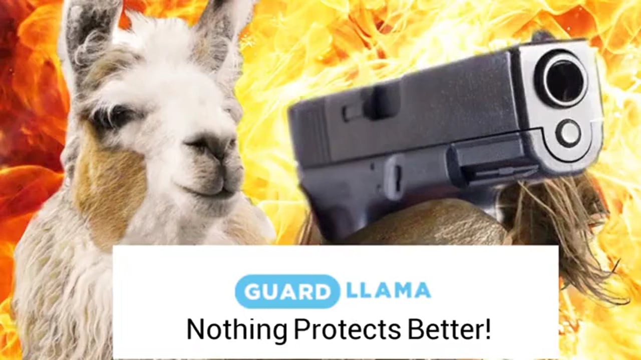 GUARD LLAMA on Vimeo
