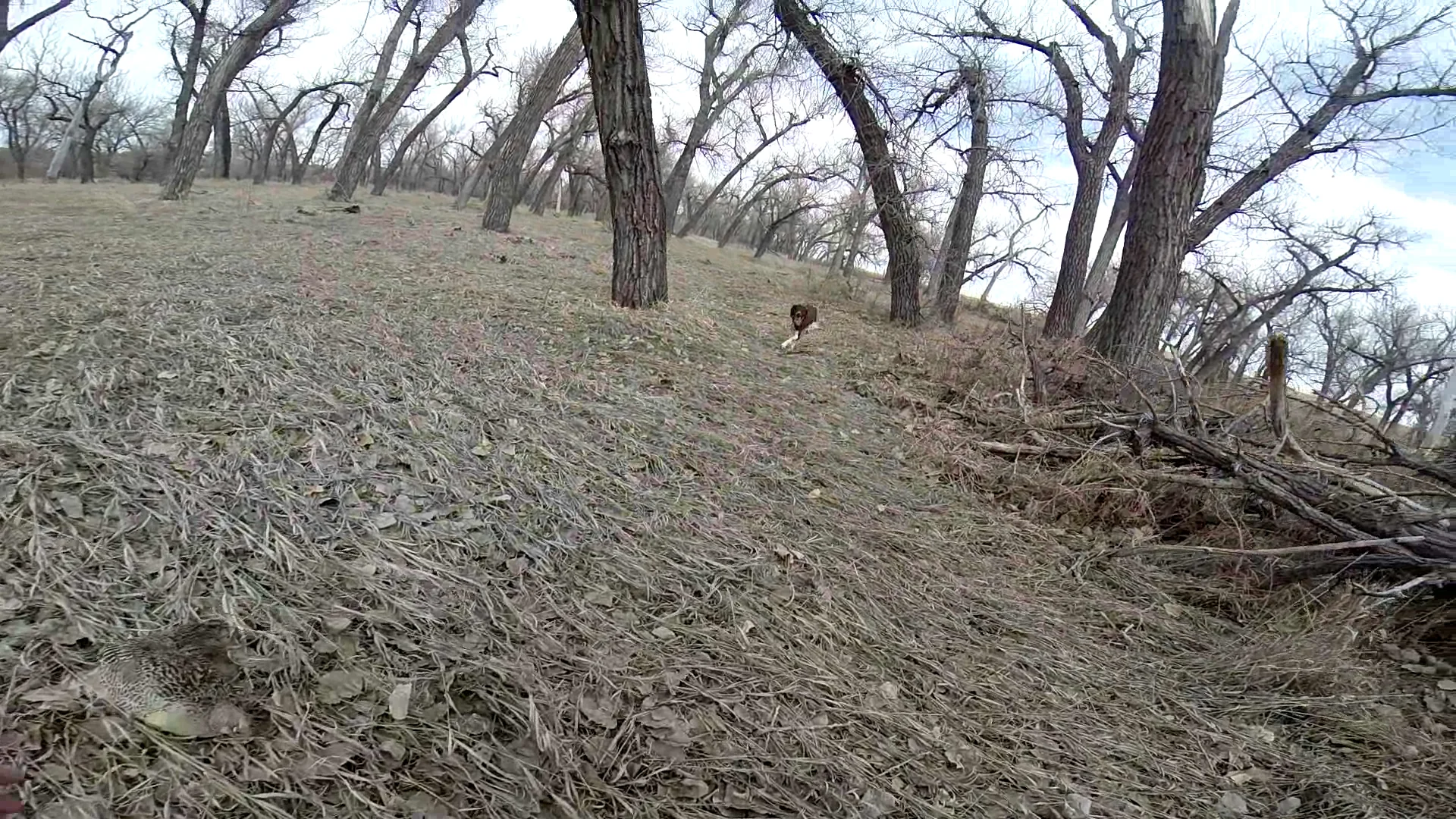 DISNEY HUNTING on Vimeo