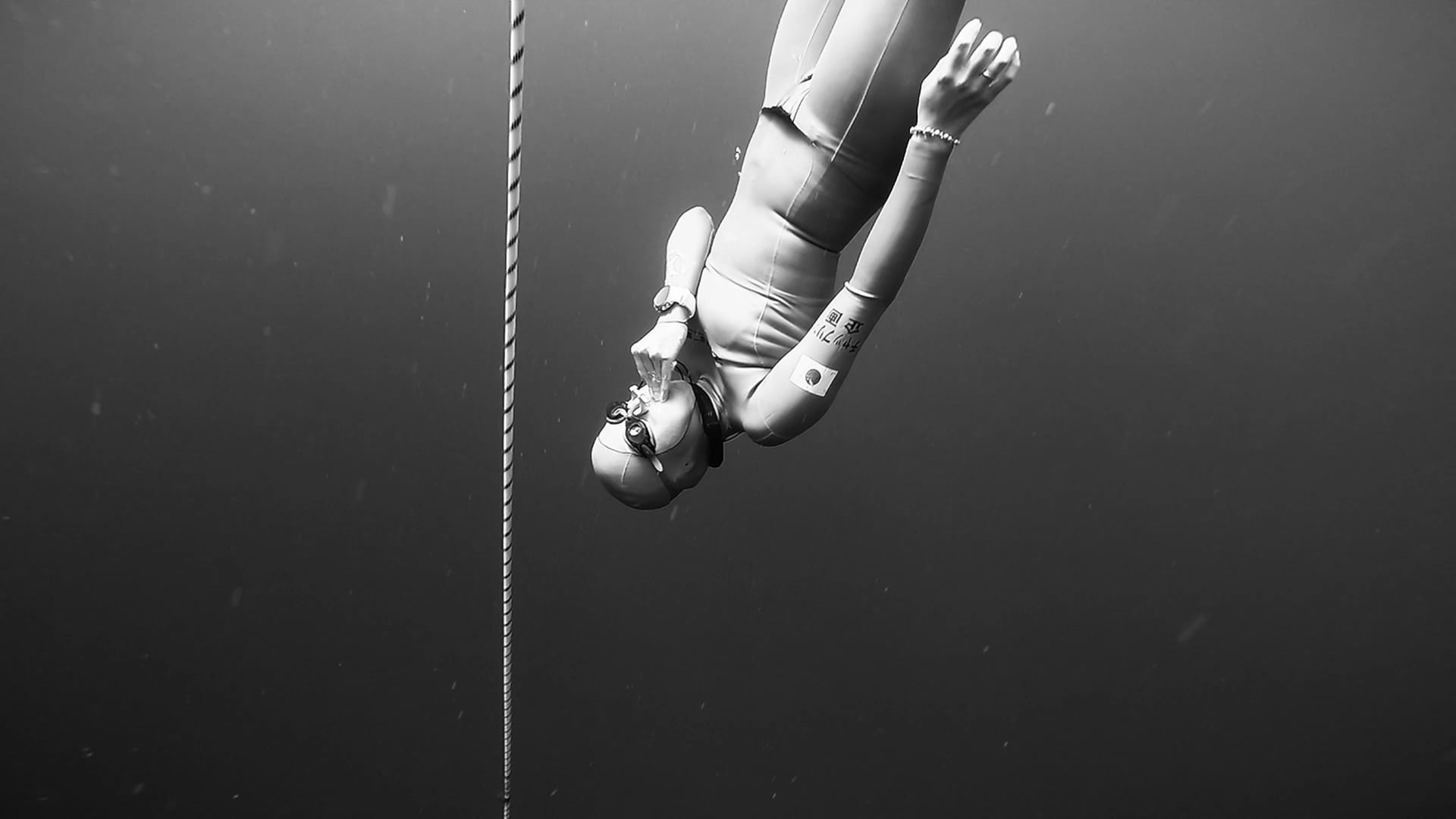 FREEDIVING ART: THE FREEFALL on Vimeo