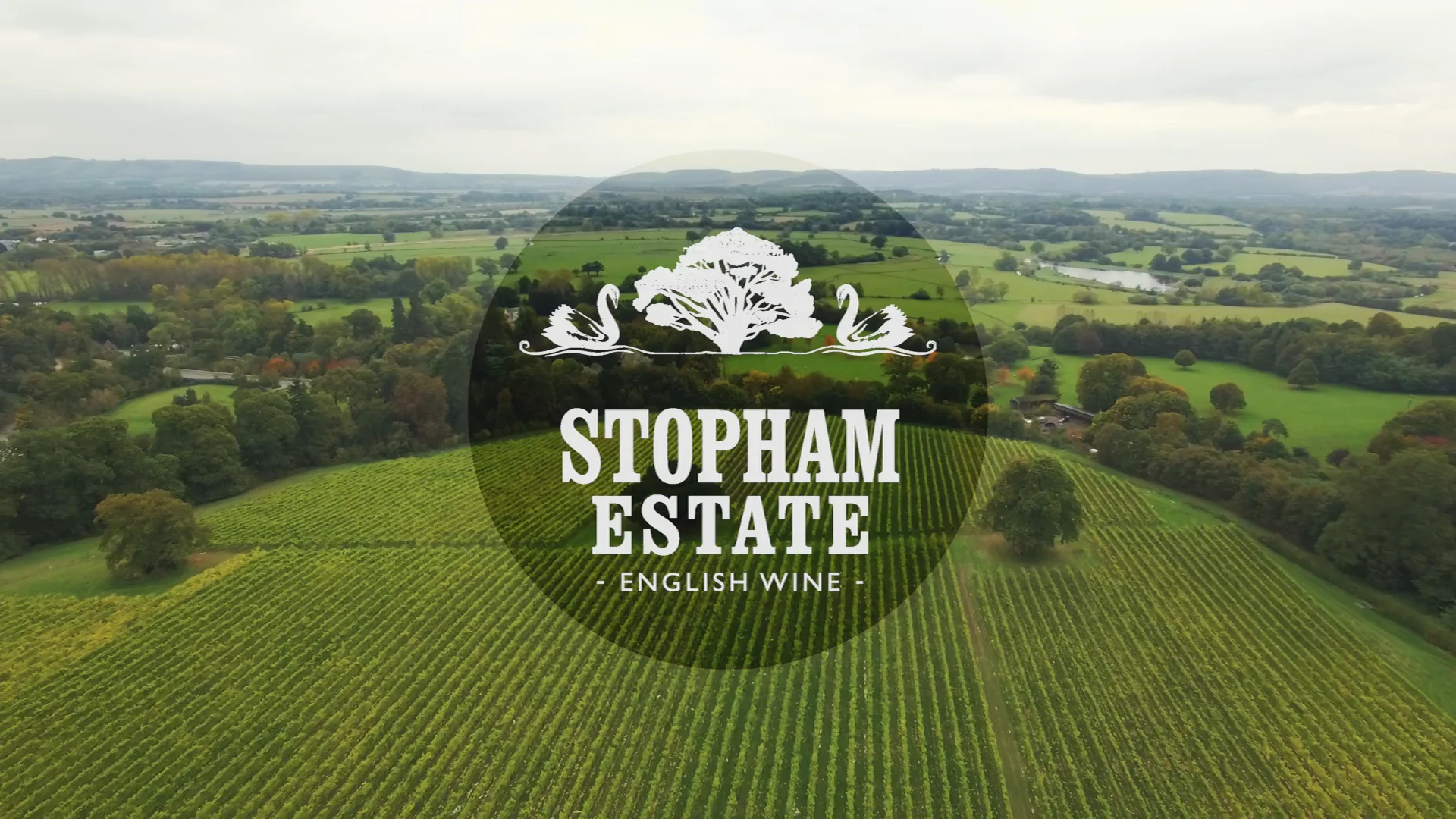 Stopham Vineyard - The Harvest on Vimeo