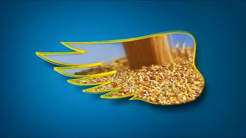 clip EN4444_V8_light_1 on Vimeo