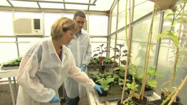 Dr Richard Espley — Science Learning Hub