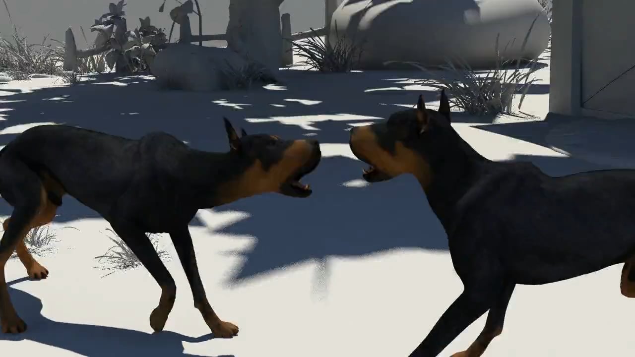 Dogs Playing on Vimeo