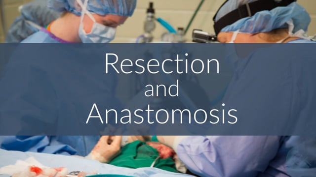 Surgical Procedures - Resection and Anastomosis on Vimeo