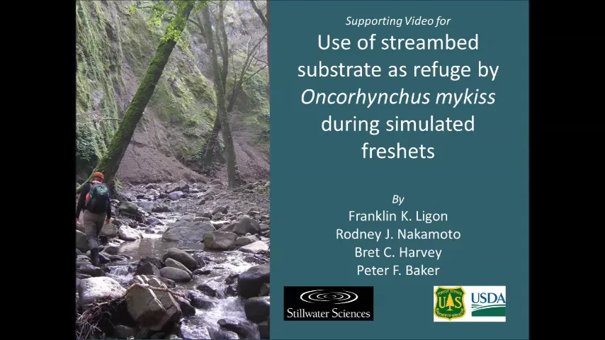 Streambed substrate as refuge for O. mykiss on Vimeo