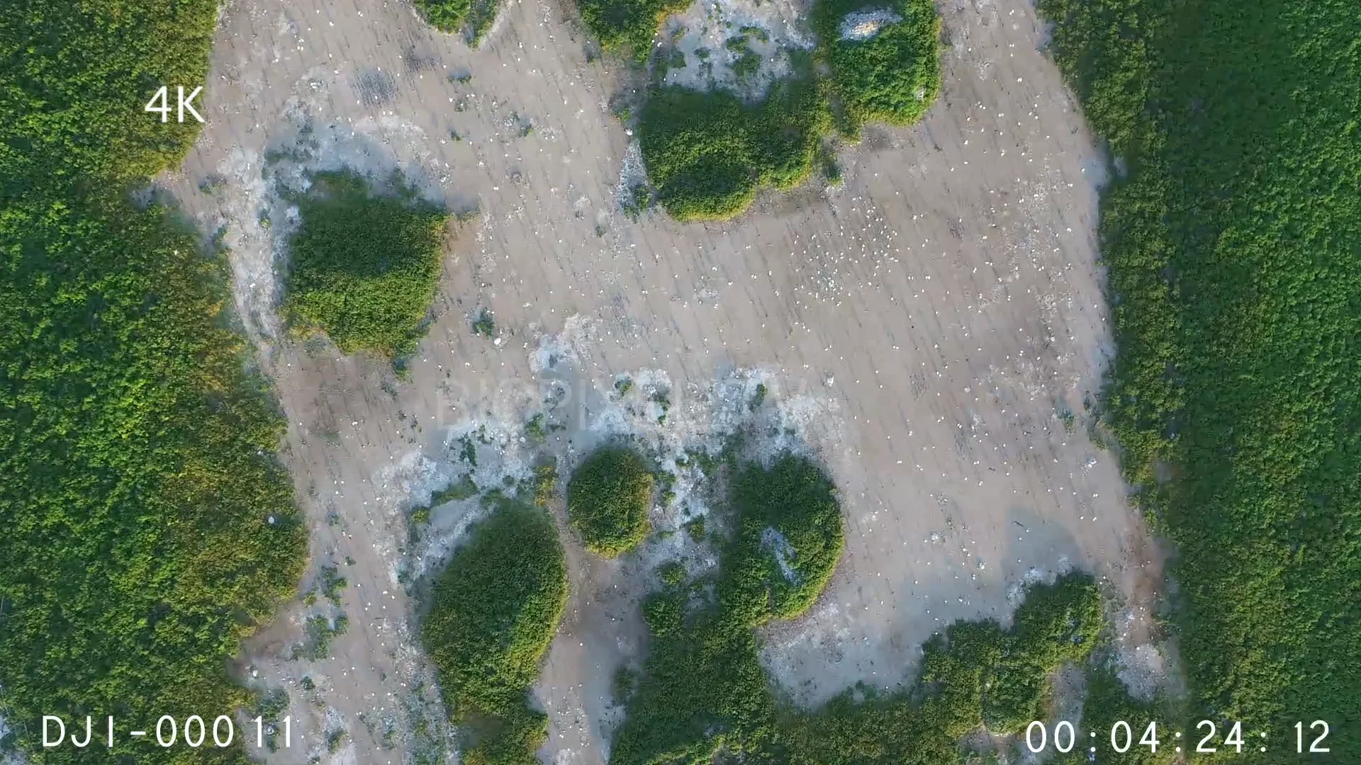Islands - Aerial - Raine Island wet season 4K on Vimeo