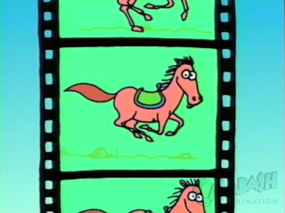 About Us | Calabash Animation Studio