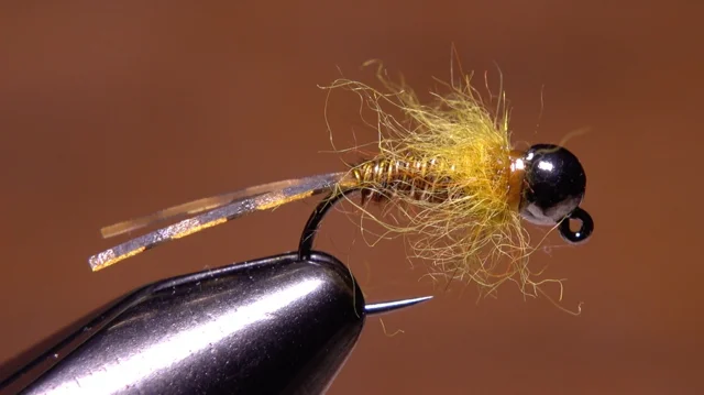 Golden Stone Fly Tying