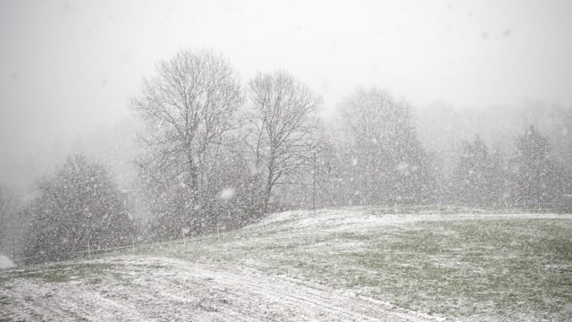 Snowfall, Snow, Snowflakes. Free Stock Video - Pixabay