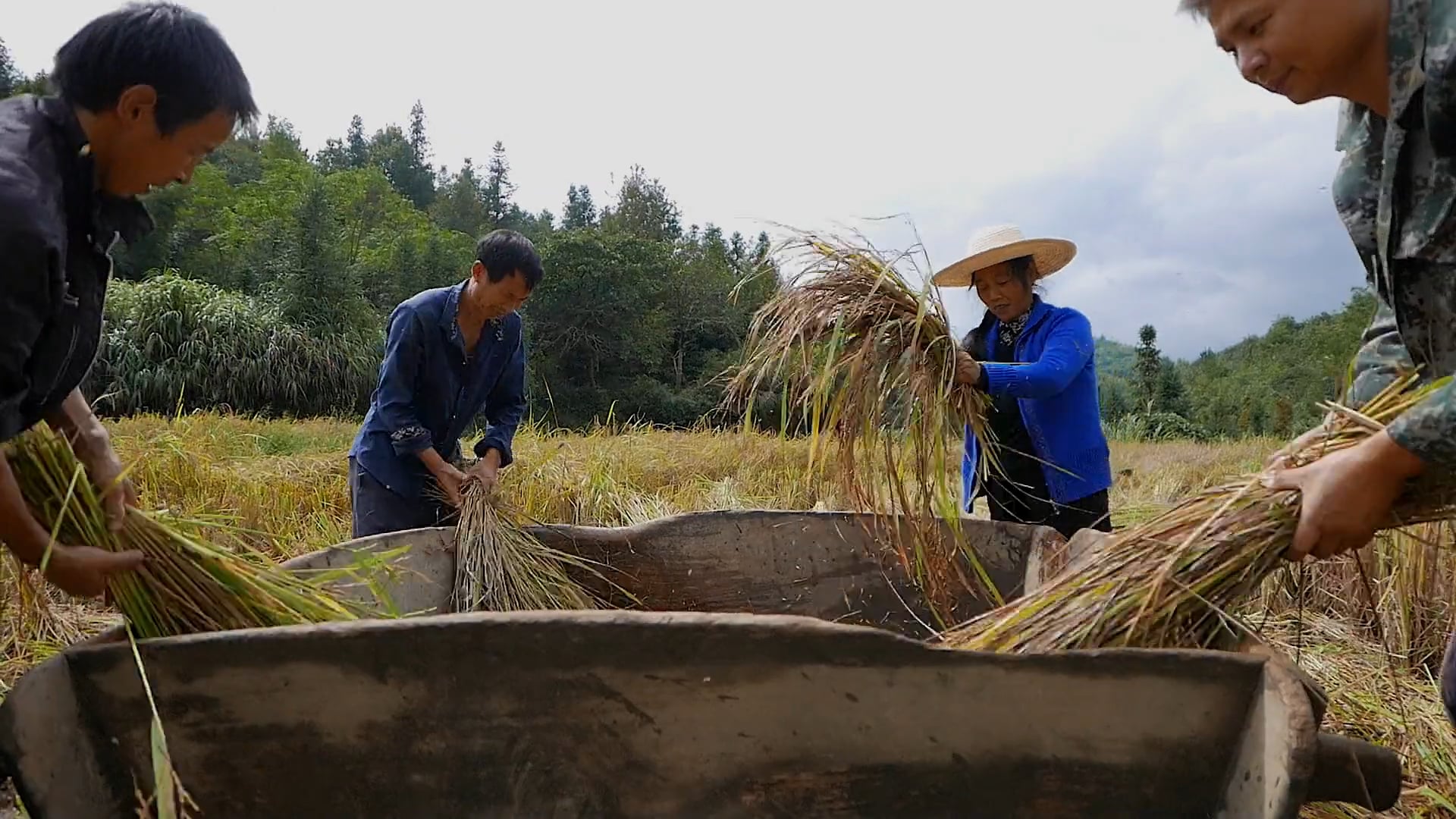 SinoGrain - sustainable grain production in China on Vimeo