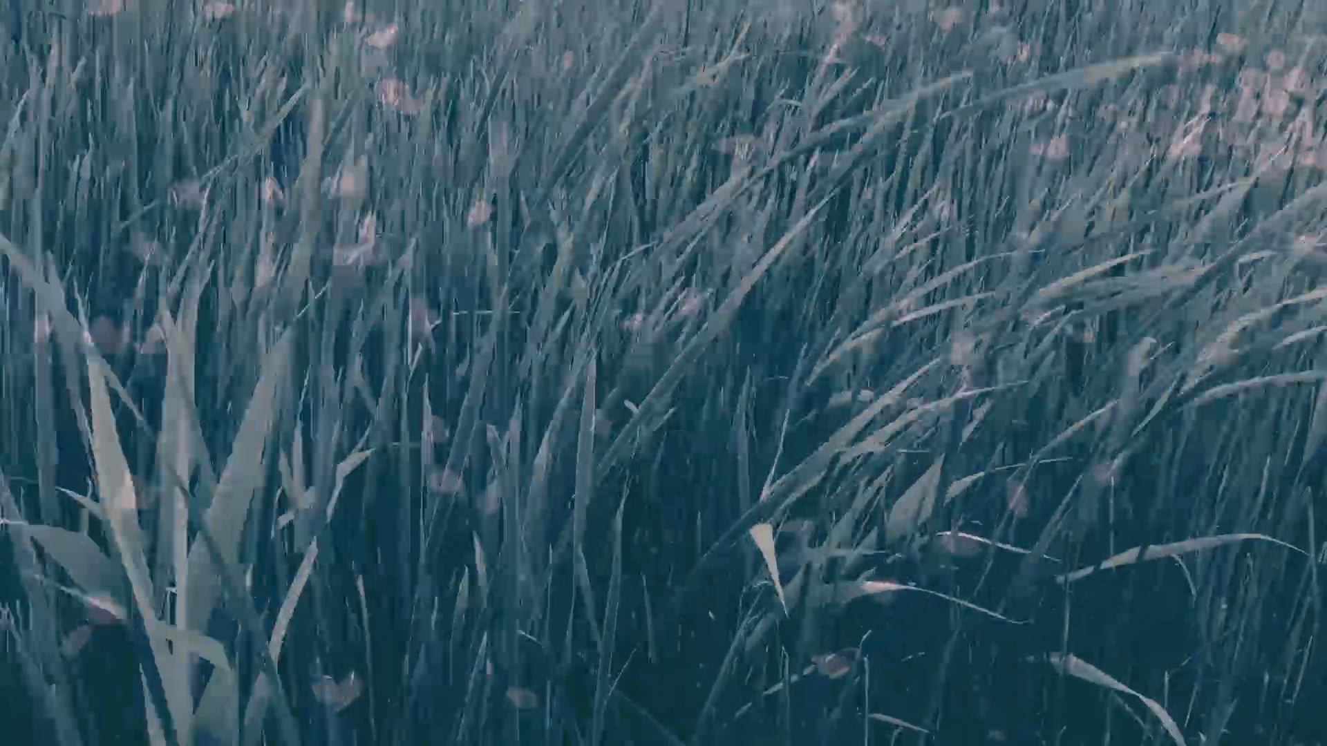 two story train on Vimeo