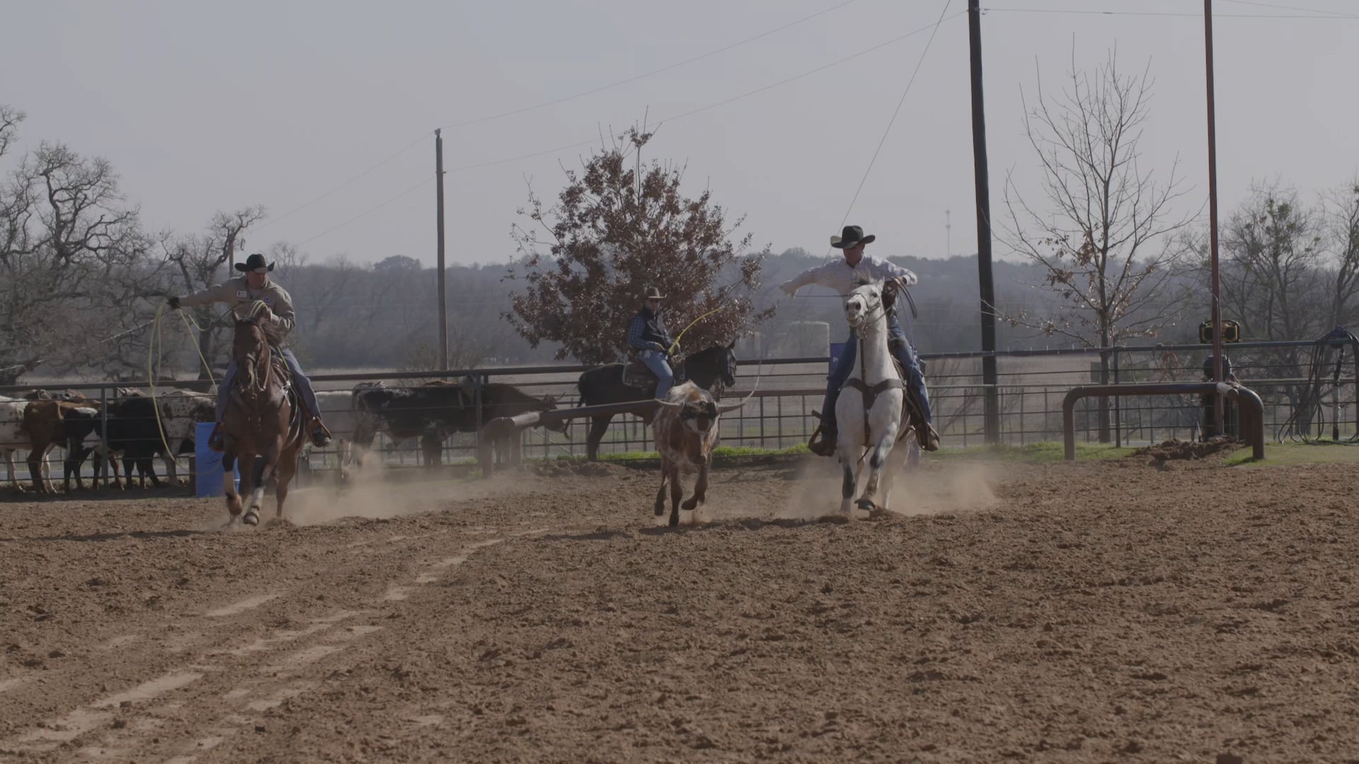 Riding Position On Heel Horses With A longer Stride with Clay Logan | X ...