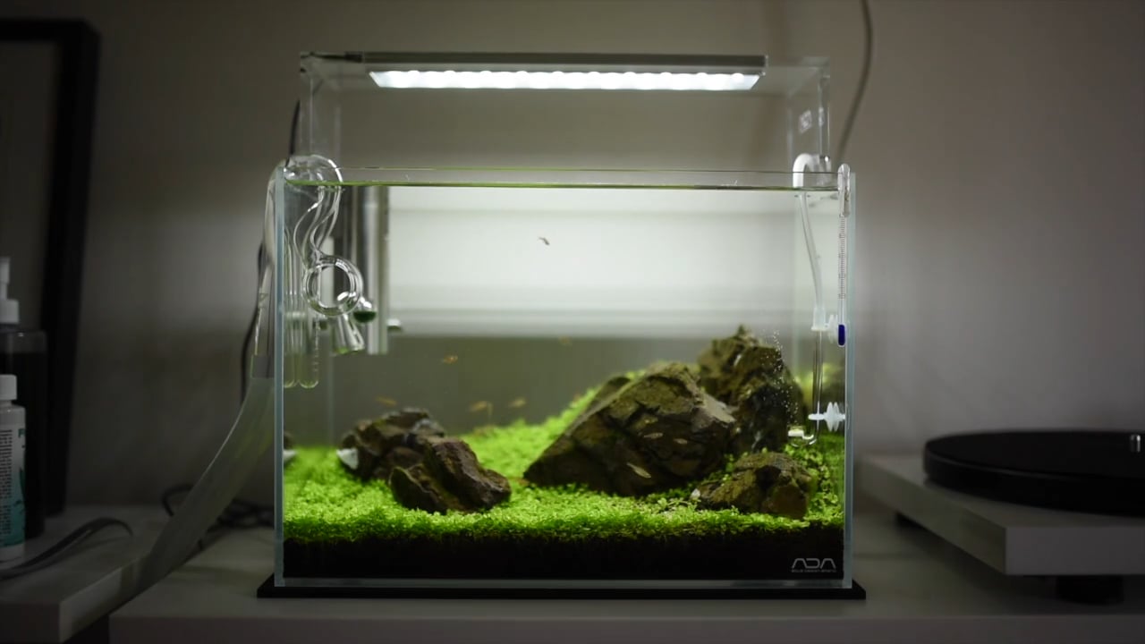 ADA Mini-M progress 17 March 2016 on Vimeo