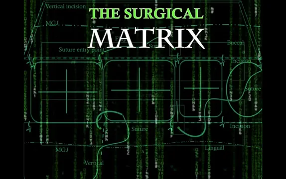 THE SURGICAL MATRIX on Vimeo