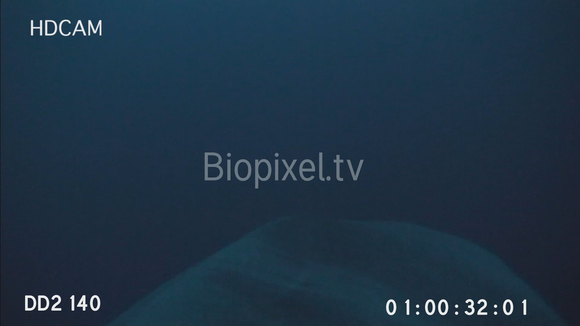 Shark Research - Tiger shark POV camera on its back 2 on Vimeo