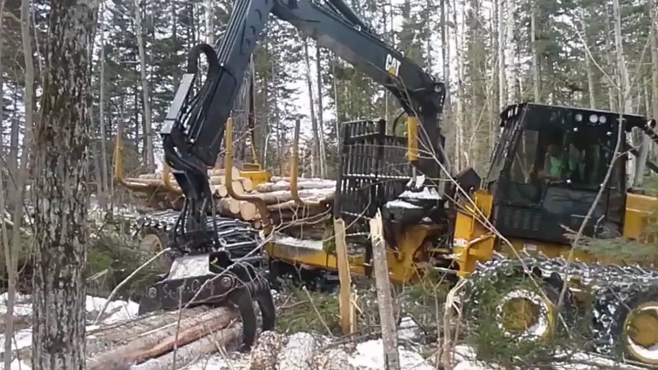 Épinexperts' CAT 574 forwarder on Vimeo