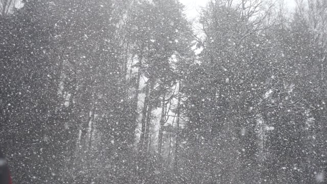 Schneegestöber Schneefall Schneien - Free video on Pixabay - Pixabay