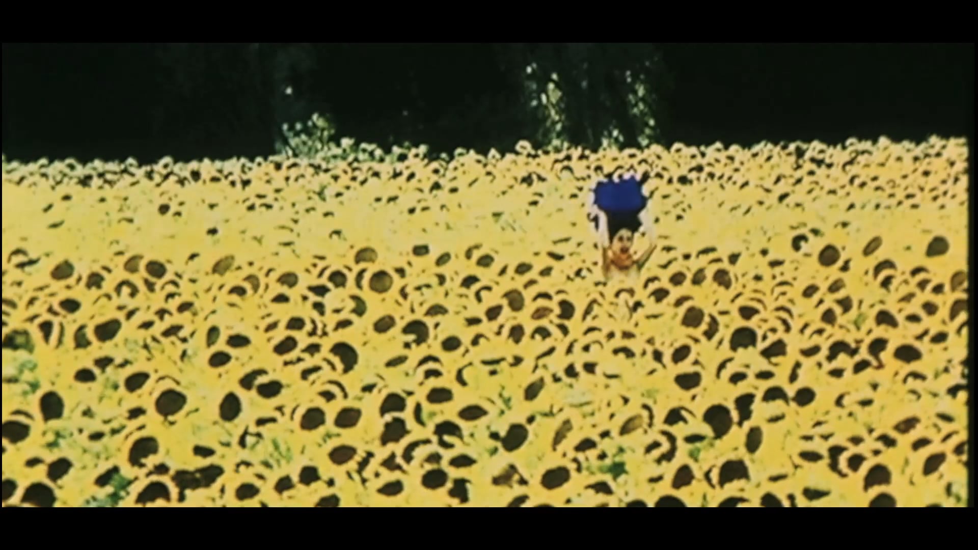 Emily la Princesse on Vimeo