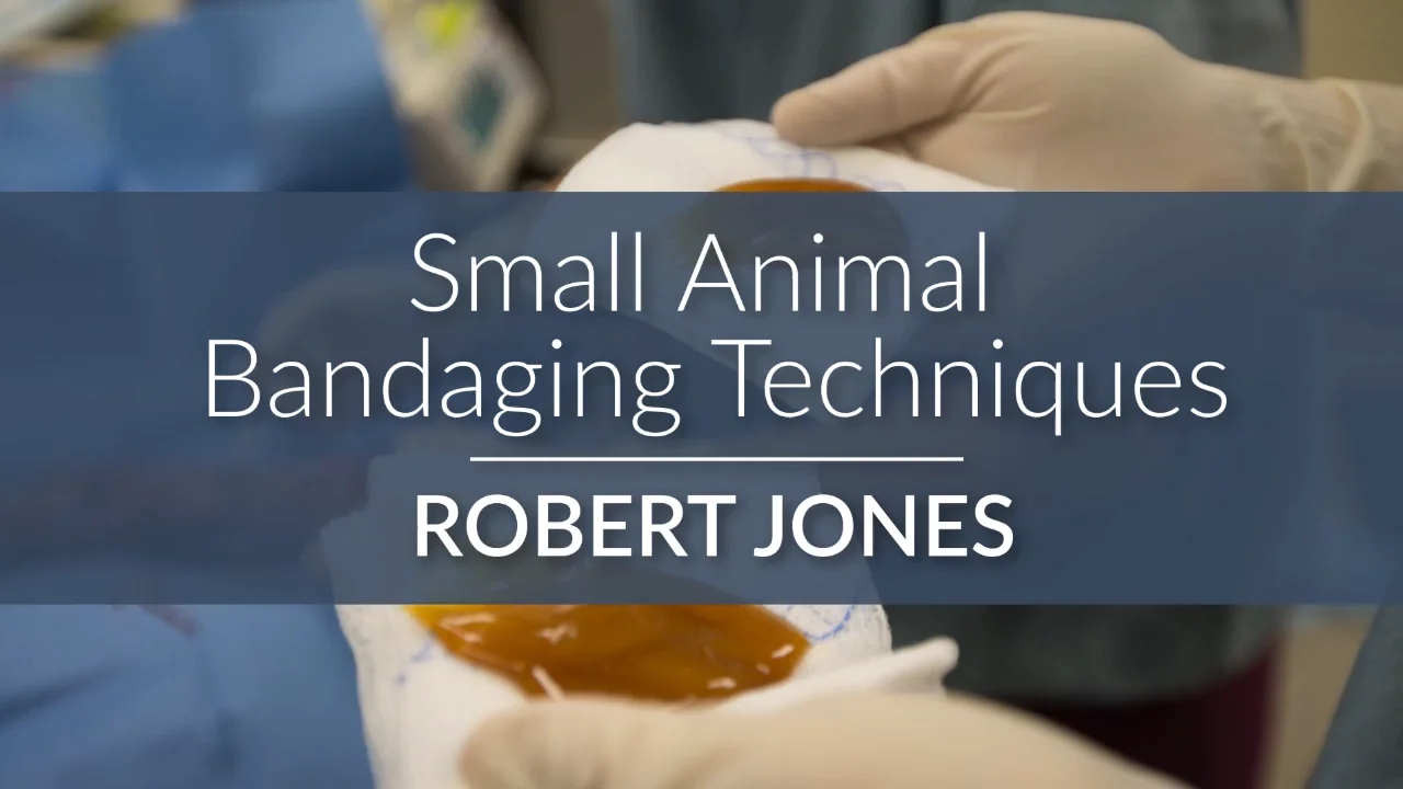 Module 1: Bandaging - Small Animal Bandaging Techniques: Robert Jones ...