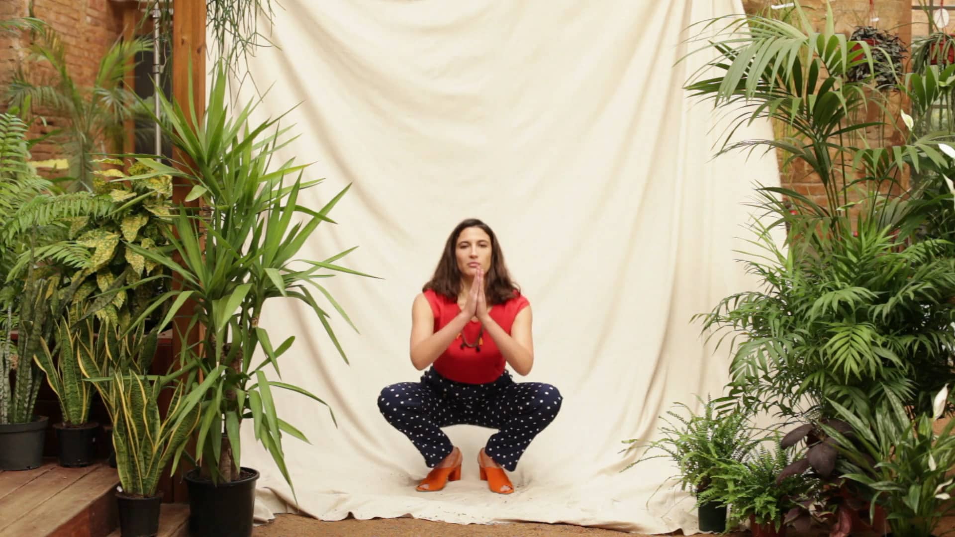 Spring/Summer 2016 Woman Collection on Vimeo