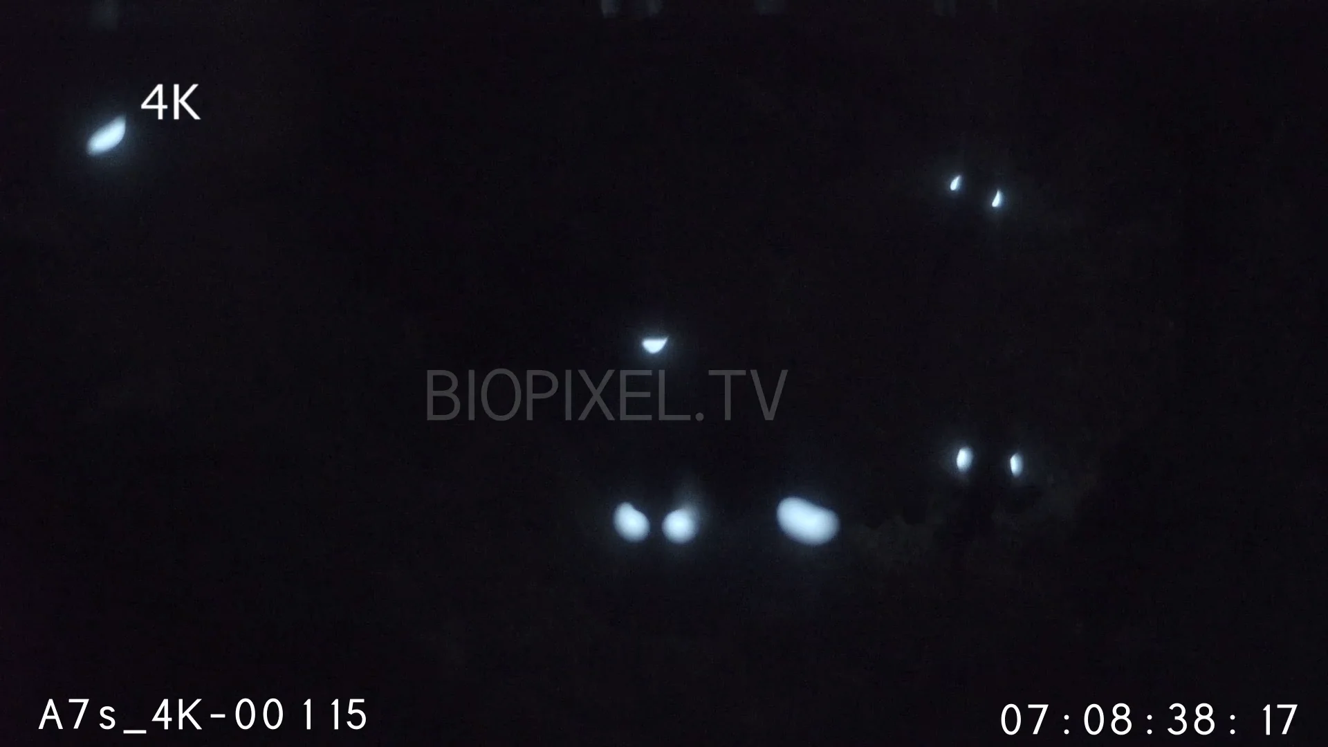 Fish School - Flashlight fish using low light Sony A7s camera 4K ...