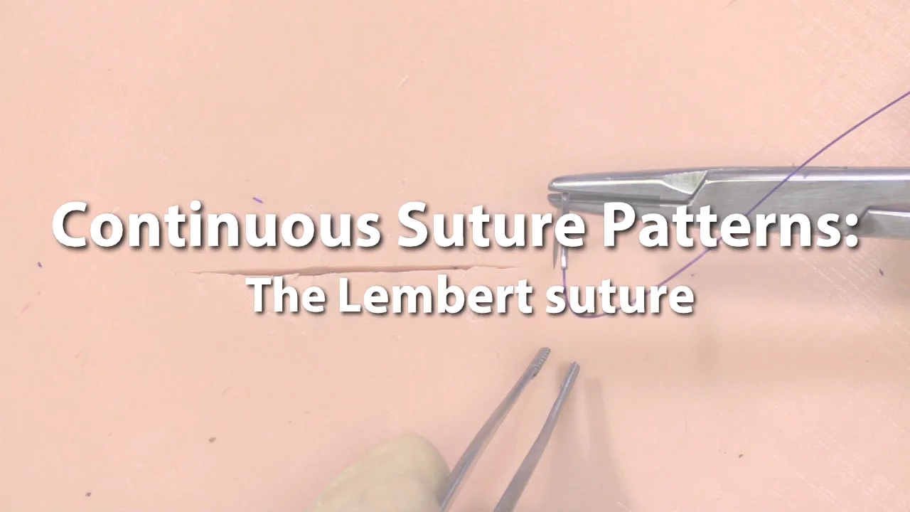 Continuous Suture Patterns: The Lembert suture on Vimeo