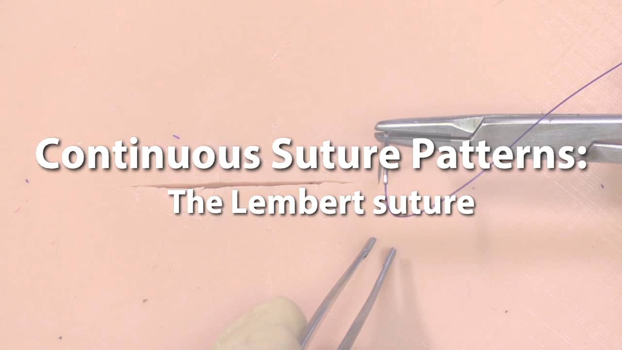 Continuous Suture Patterns: The Lembert suture on Vimeo