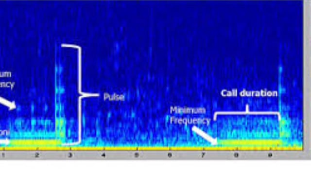The Mystery of the 'Slowdown' and 'Upsweep' Sound on Vimeo