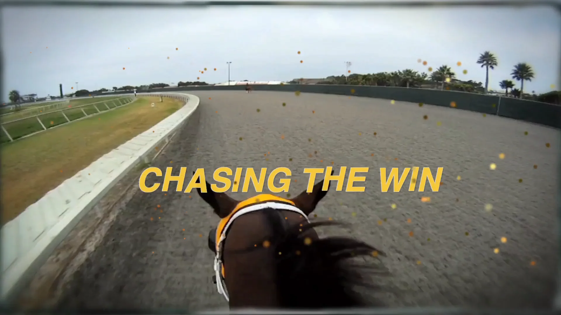 Chasing the Win - Trailer 2024