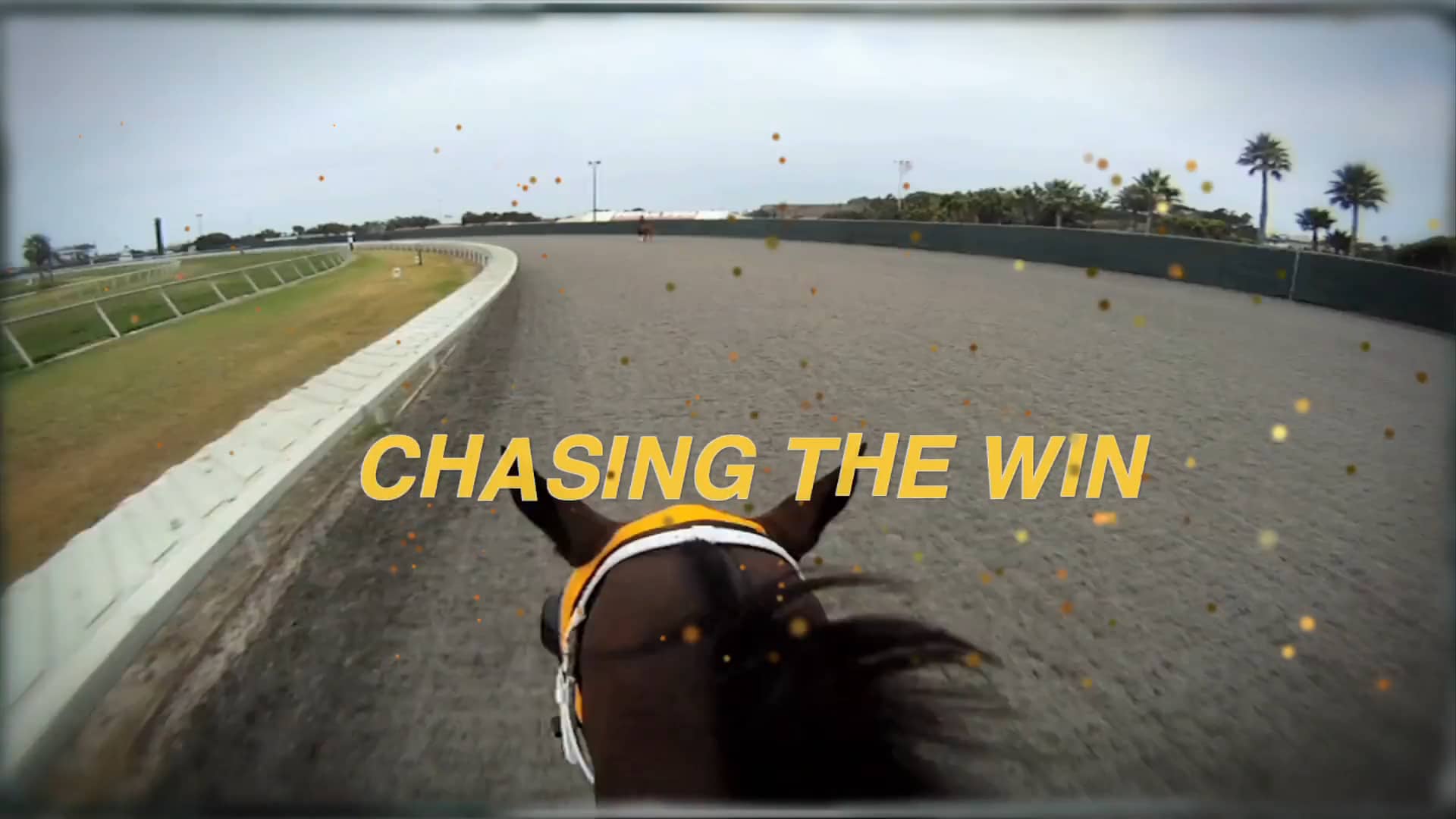 Chasing the Win - Trailer 2022 on Vimeo