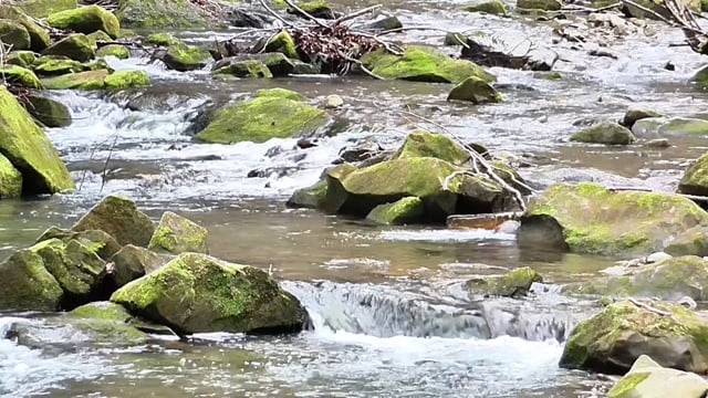 Stream, Brook, River. Free Stock Video - Pixabay