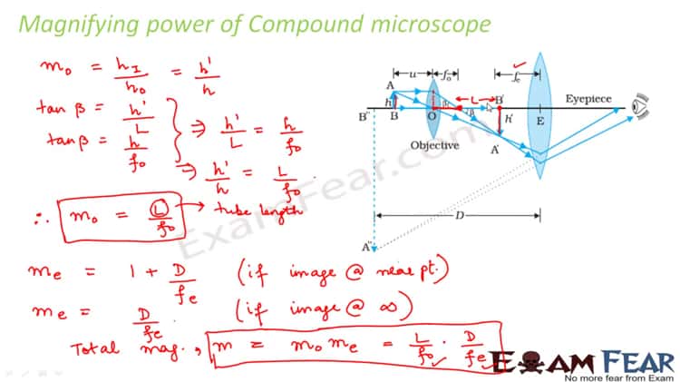 Compound Microscope Ray Diagram