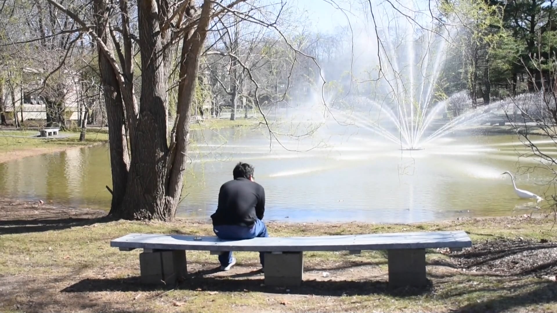 Roth Pond on Vimeo