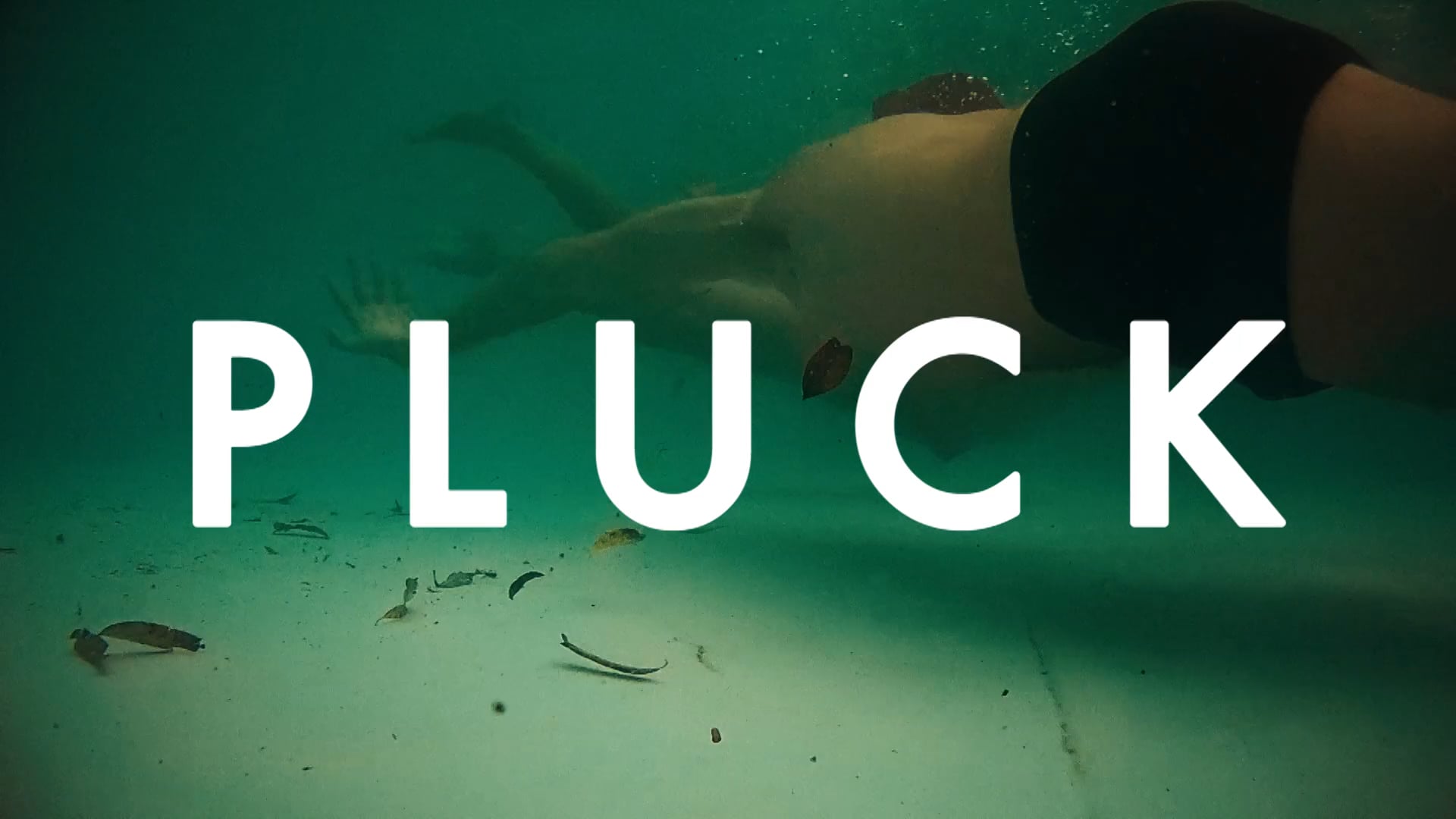 'Pluck' Trailer - A Short Film By Mavi Phillips on Vimeo