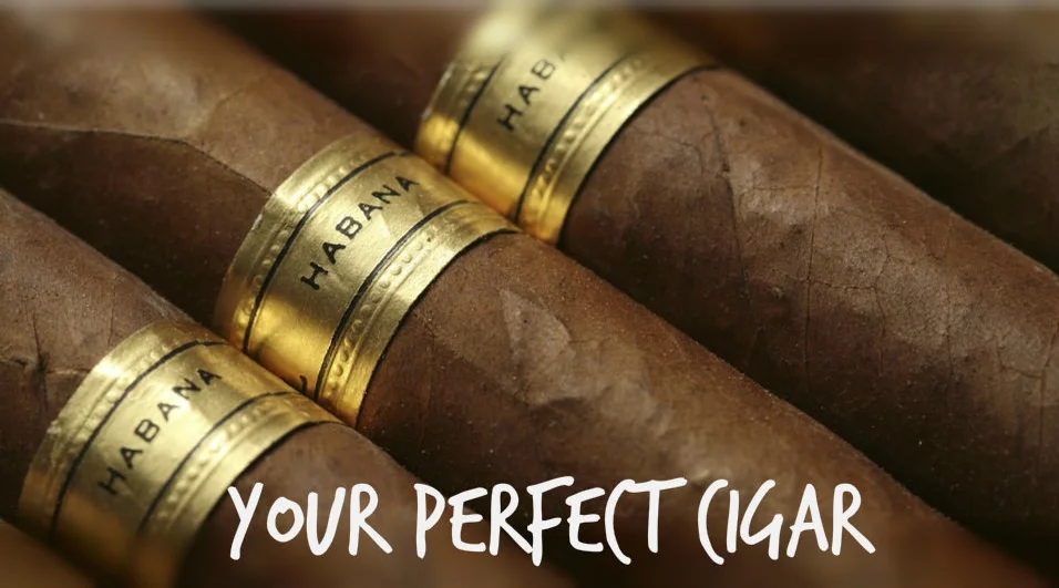 Cigar Sense - Personal Cigar Recommendations | NewsWatch Review on Vimeo